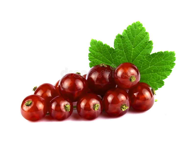 Ribes Rosso Con La Foglia Isolata Su Bianco Immagine Stock - Immagine ...