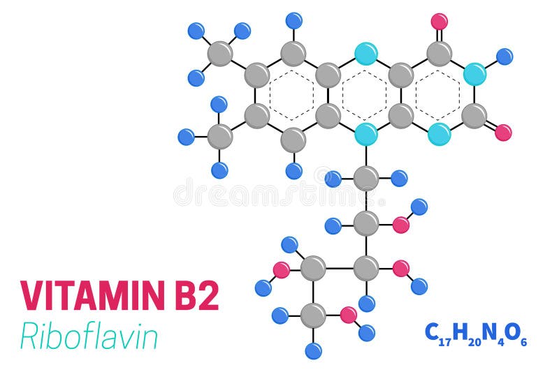 Riboflavin Vitamin B2 Molecule Structure Illustration Stock Vector ...