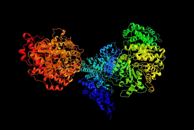 Ribonucleotide Reductase E441q Mutant R1 Protein from Escherichia Coli ...