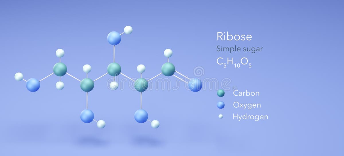 Ribose Sugar Stock Illustrations – 69 Ribose Sugar Stock Illustrations ...