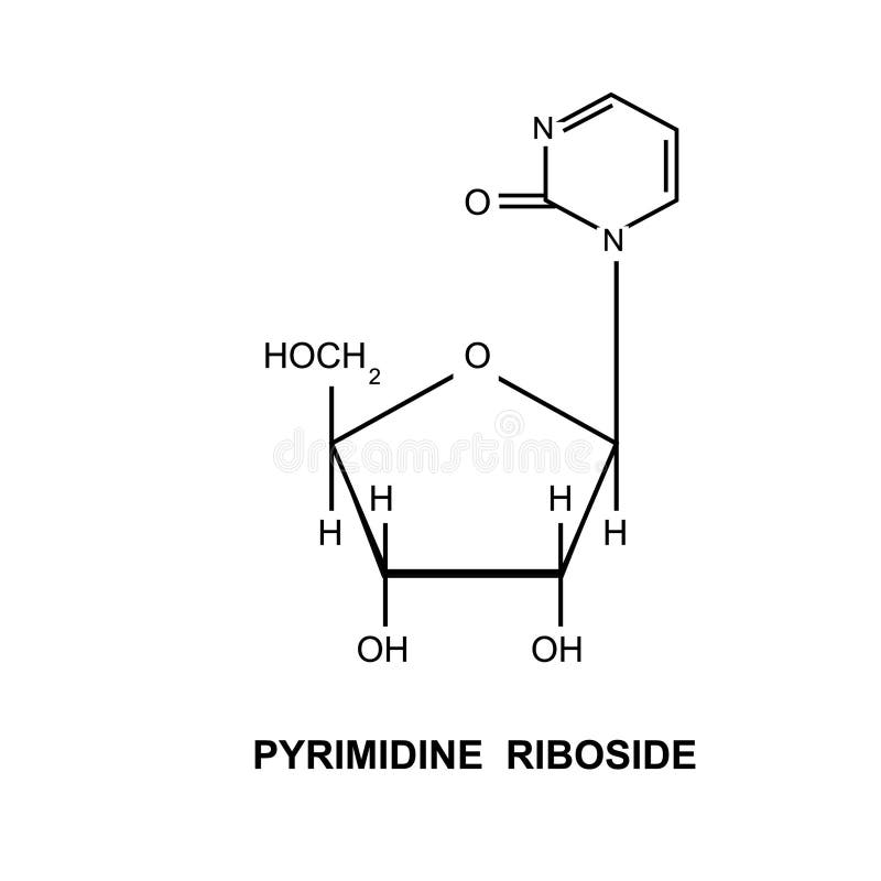 Pyrimidine Stock Illustrations, Vecteurs, & Clipart – (415 Stock ...