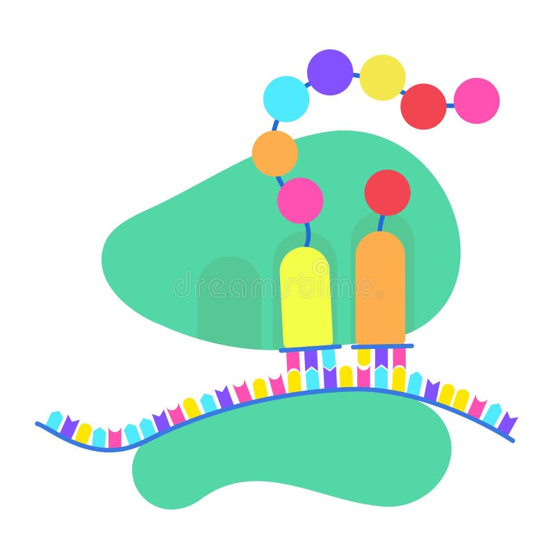 Intercellular Connections Stock Illustrations – 64 Intercellular ...