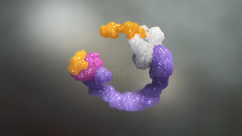 The Ribosome is a Large and Complex Molecular Machine Stock ...