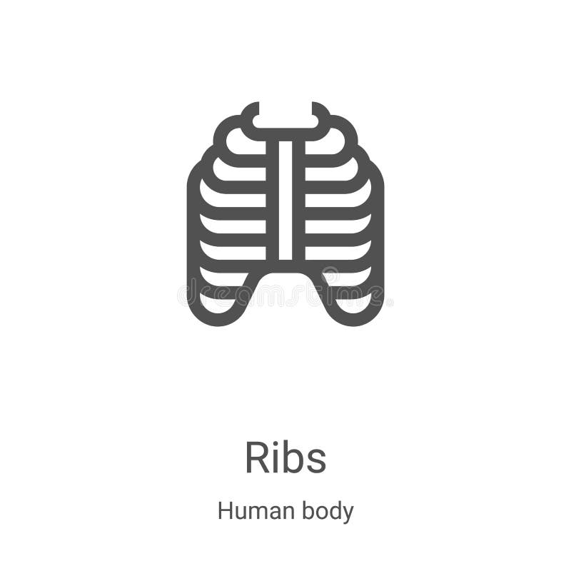 Human Ribs Bones Icon Vector from Body Parts Collection. Thin Line ...