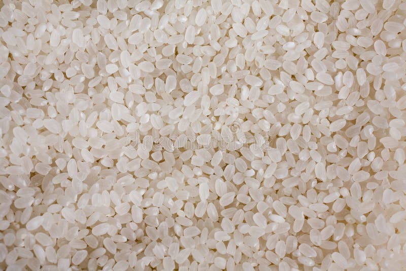 White rice background stock image. Image of indian, dieting - 11177461