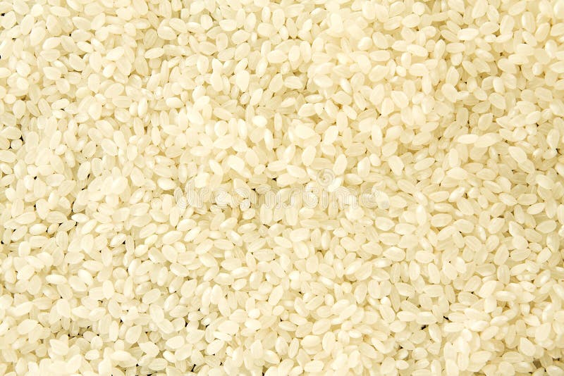 Sushi Rice stock image. Image of close, food, texture - 8644349