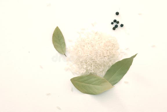 10,714 Leaf Macro Rice Stock Photos - Free & Royalty-Free Stock Photos ...