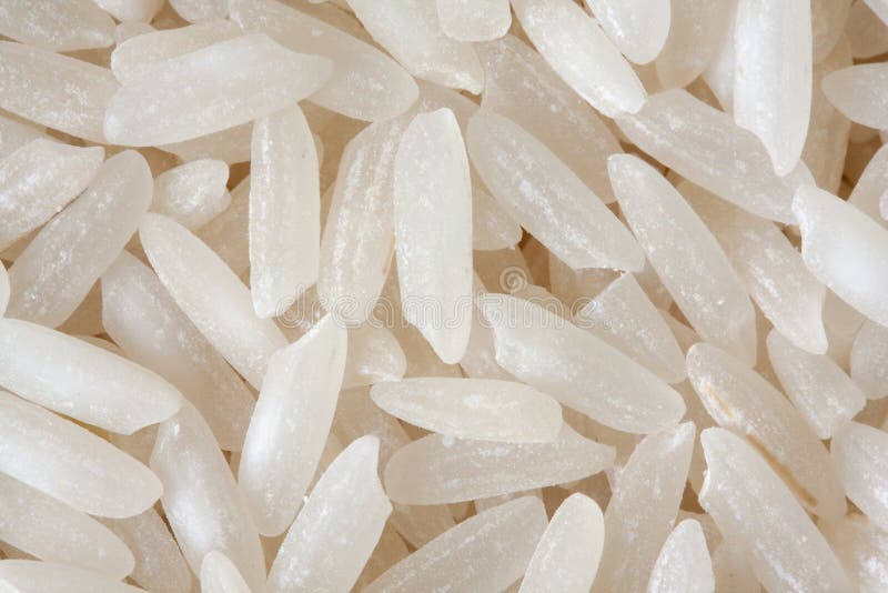 Rice stock image. Image of nature, fresh, ingredient - 15311861