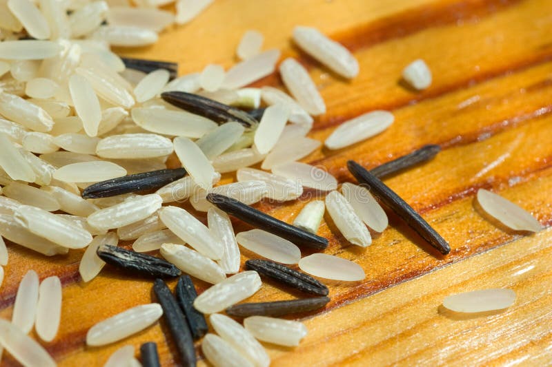 Rice stock image. Image of macro, culture, grain, close - 17668035