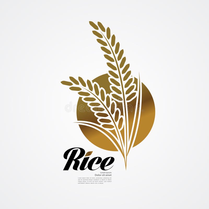 Premium Rice Great Quality Design Concept Vector. Stock Vector ...