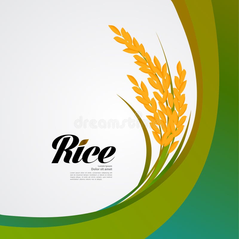 Premium Rice Great Quality Design Concept Vector. Stock Vector ...