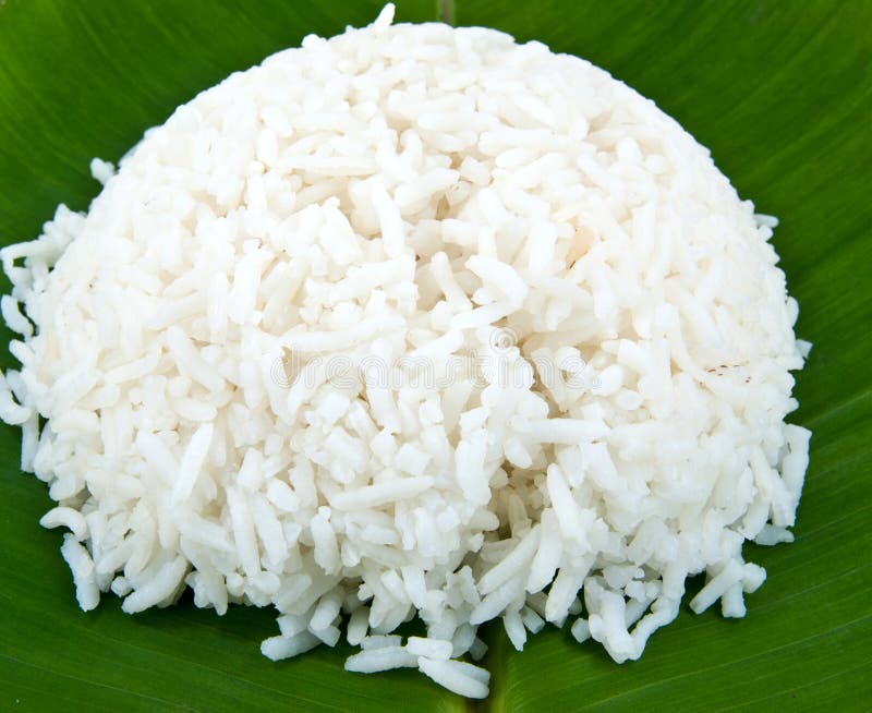 White rice stock image. Image of feed, fresh, hearty - 19017173