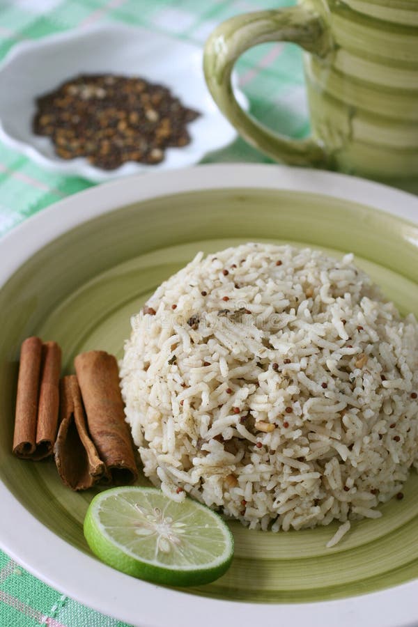 Moroccan Rice and Beef Tagine Stock Photo - Image of rice, pine: 24700926