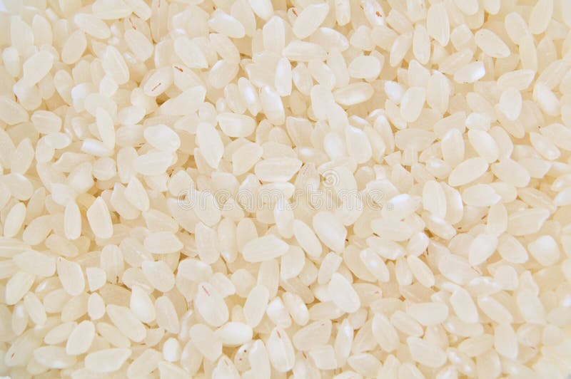 White rice stock photo. Image of ingredient, cooking - 12748824