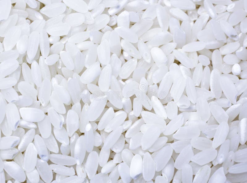 Rice Free Stock Photos & Pictures, Rice Royalty-Free and Public Domain ...