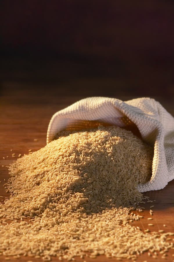 Rice Paddy Field stock photo. Image of asian, meadow, grain - 5297324