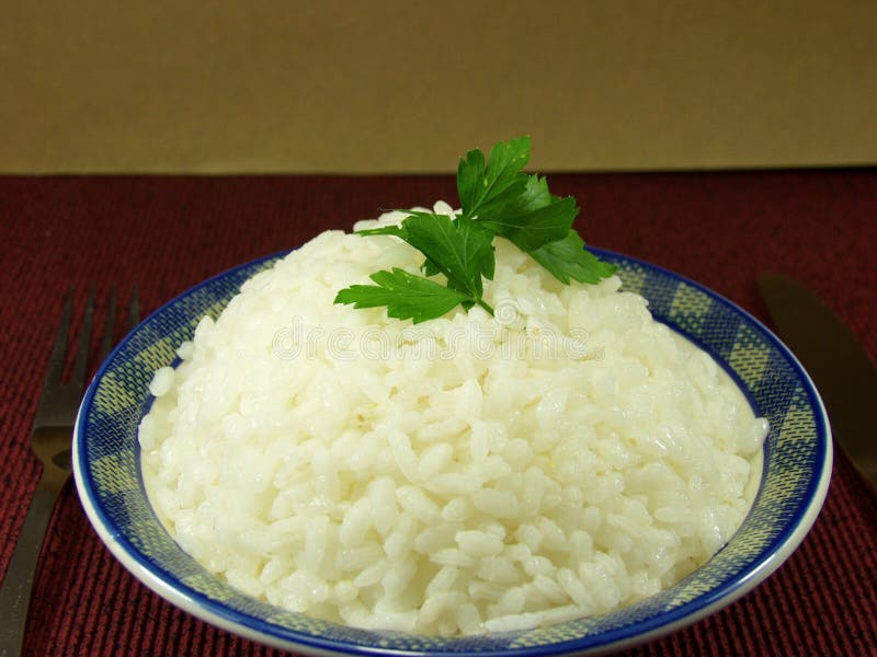 Thai chicken with rice stock photo. Image of dinner, cook - 2174446