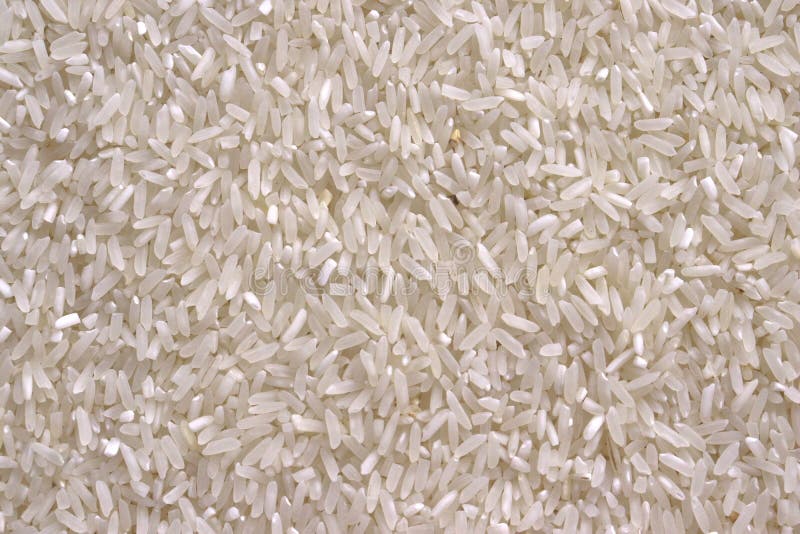 White Rice, Natural Long Rice Grain for Background and Texture Stock ...