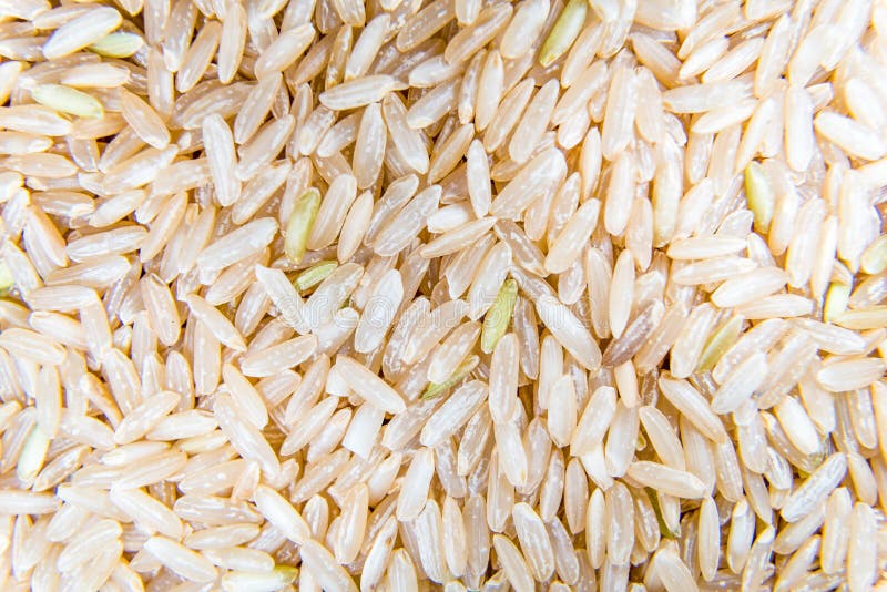 Rice stock image. Image of seed, macro, kernel, starch - 69894307