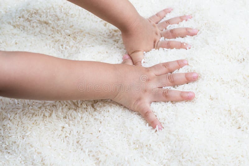 Rice with baby hands stock image. Image of asia, harvest - 52176005