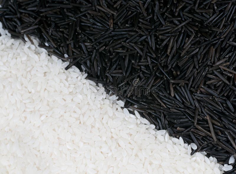 Rice background stock image. Image of background, grain - 23712633