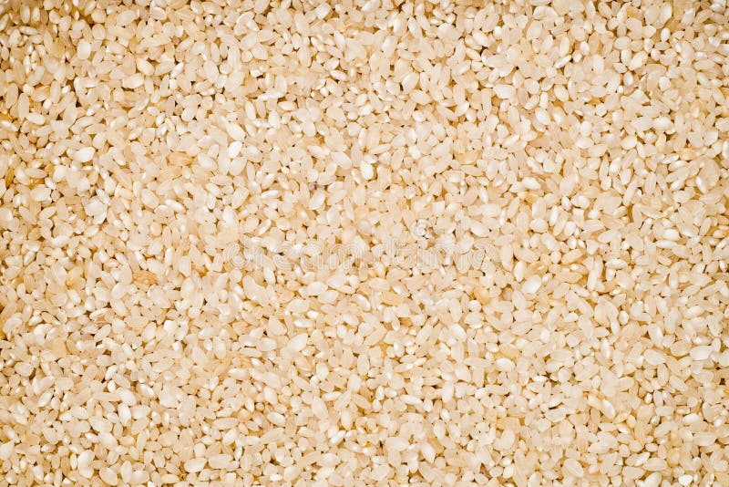 Background of seeds stock image. Image of food, group - 19330367