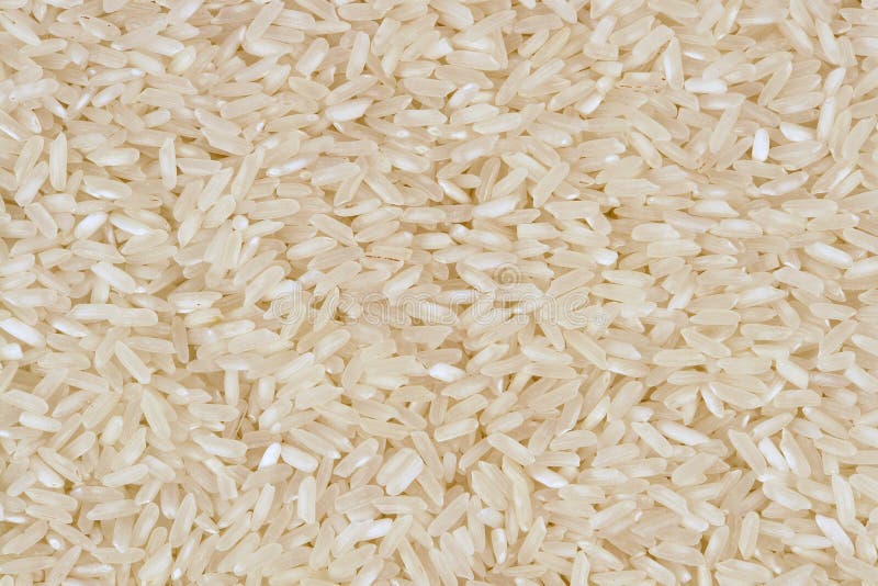 Rice Background Picture. Image: 3700056