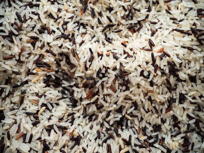 Rice background stock photo. Image of background, basmati - 89450404
