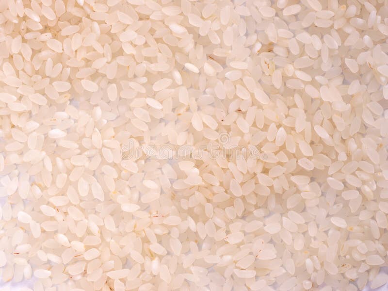 Rice background stock photo. Image of international, grained - 81682160