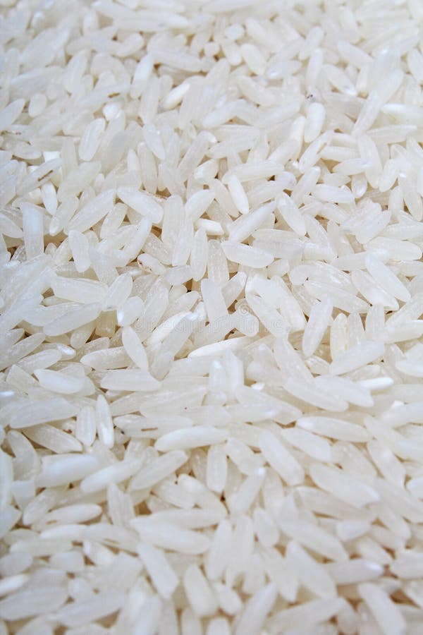 Rice Background. Rice Texture Basmati Long Pattern, White Raw Uncooked ...