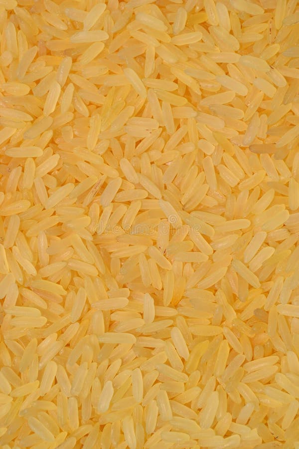 Rice backround stock image. Image of nature, organic - 21277675