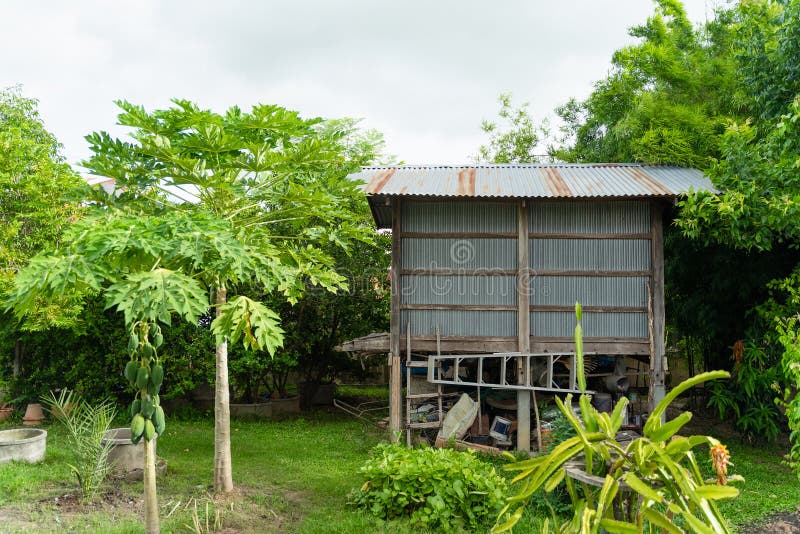 Rice Barn / Chiang Mai, Thailand. Stock Photo - Image of tradition ...