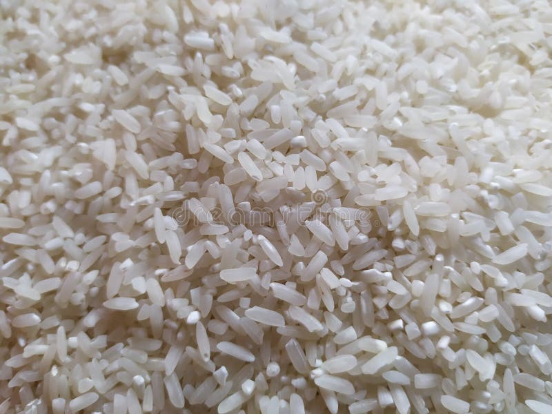 Rice Beras in Containers for daily Staples Stock Image - Image of ...