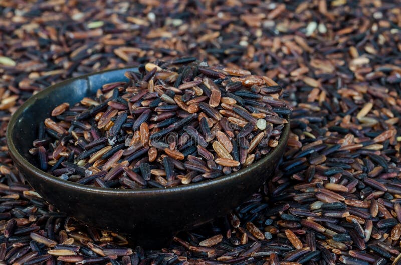 Rice berry. stock photo. Image of ingredient, grain, closeup - 57782186