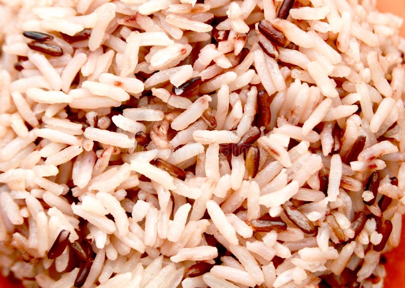 Rice berry stock image. Image of cuisine, dinner, culture - 57465269