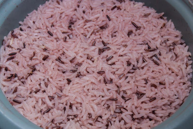 Rice berry. stock photo. Image of agriculture, fiber - 60322776