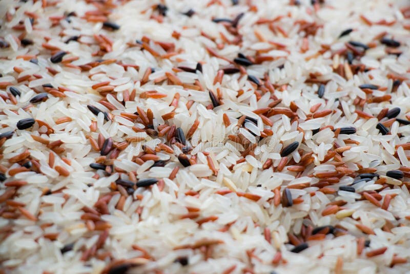 Rice berry grain stock photo. Image of background, cooking - 41349242