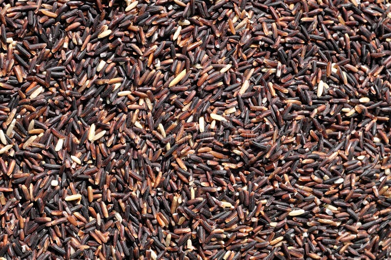 Rice Berry, new Thai rice stock photo. Image of food - 23098312