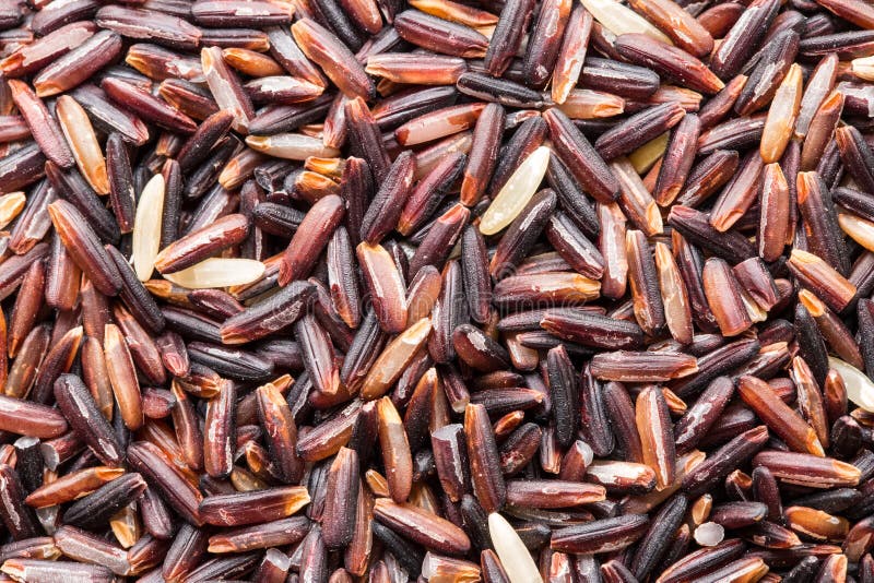 Rice-berry seed stock photo. Image of grain, texture - 57807126