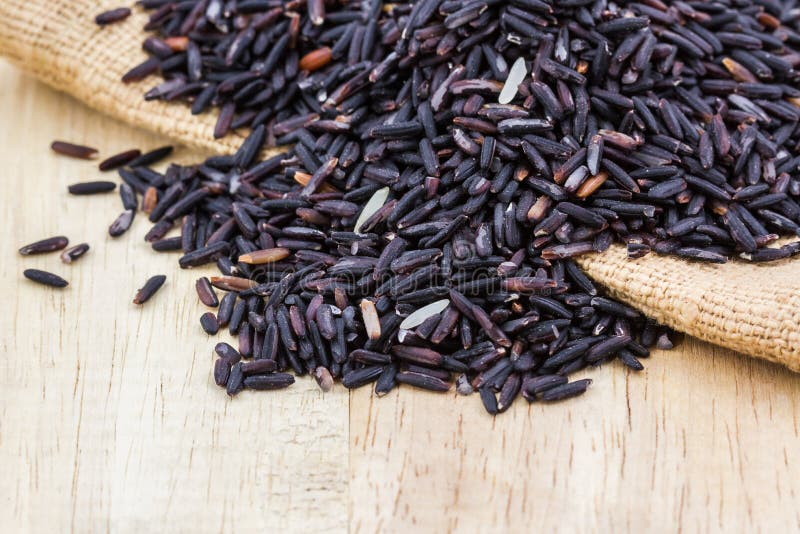 Rice berry. stock image. Image of grain, nature, brown - 60791073