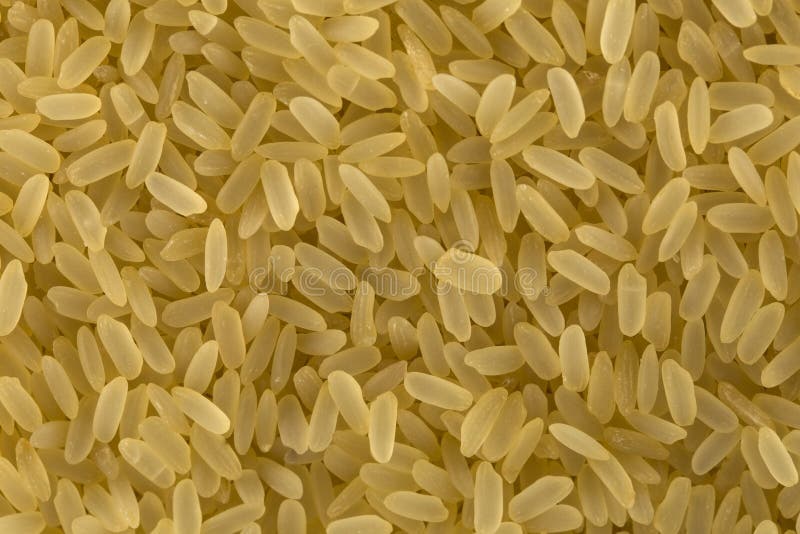 Rice bio grains stock photo. Image of cereals, asia - 126297546