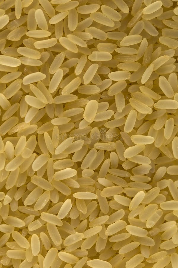 Rice bio grains stock photo. Image of meal, africa, amino - 126297560