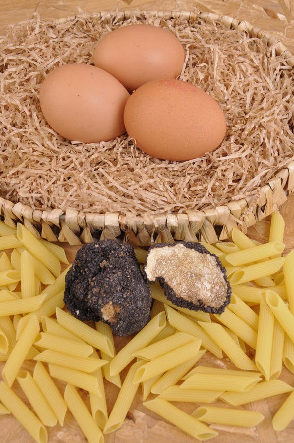 Rice and black truffle stock image. Image of food, meal - 24844535