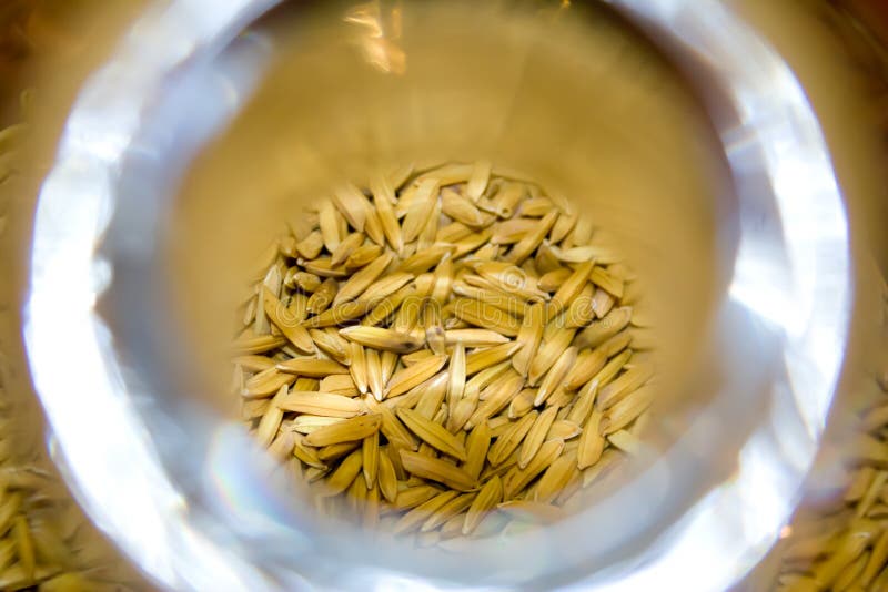 Rice in the bottle. stock image. Image of italian, heap - 29456341