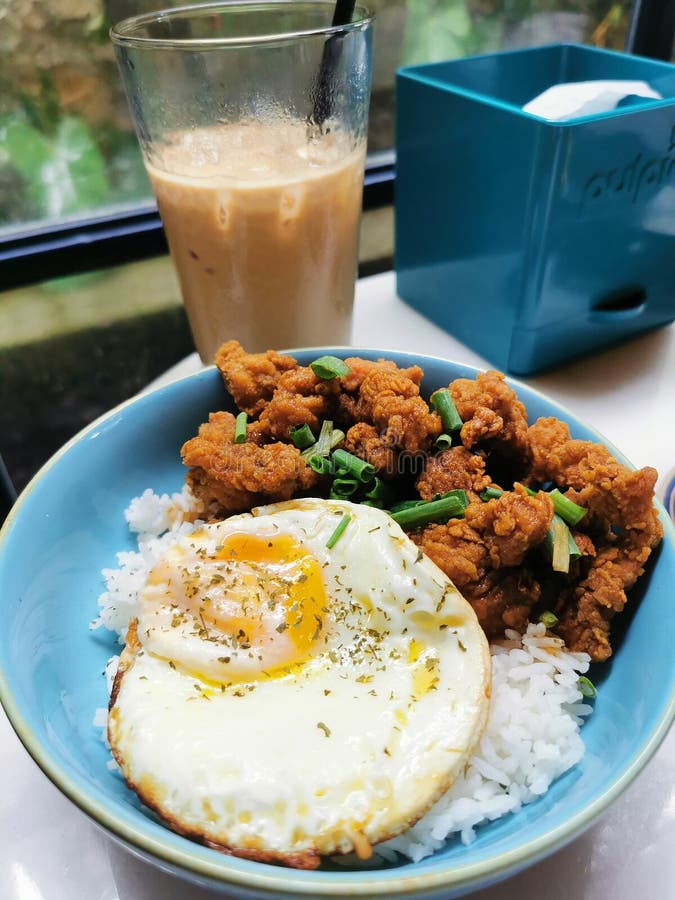 Rice Bowl Chicken Soy Sauce with Egg Stock Image - Image of bowl, sauce ...