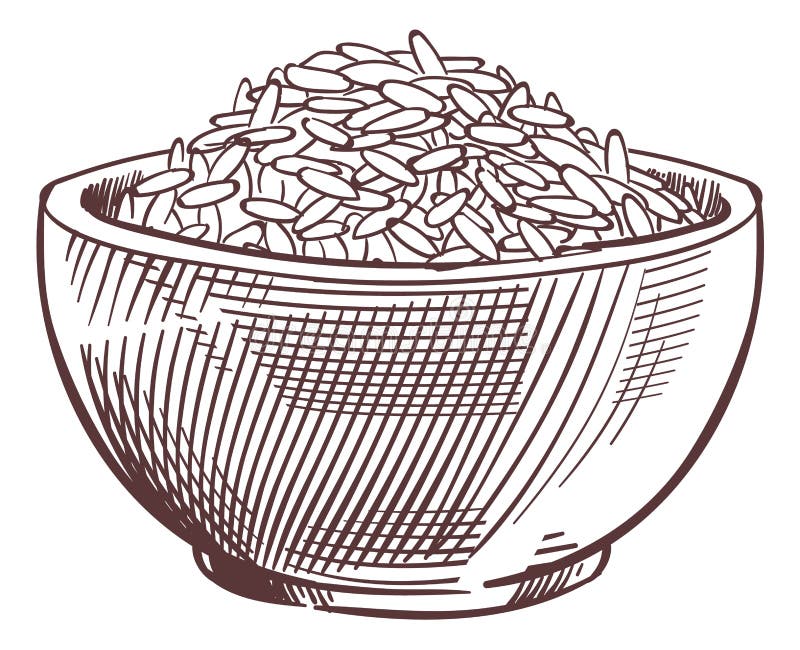 Rice Bowl Engraving. Grain Full Dish Sketch Stock Vector - Illustration ...