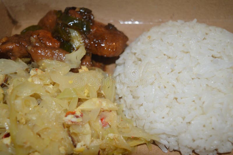 Rice Box with Chicken and Vegetable Stew Filling for Breakfast at a ...