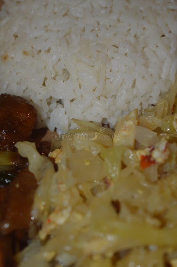 Rice Box with Chicken and Vegetable Stew Filling for Breakfast at a ...