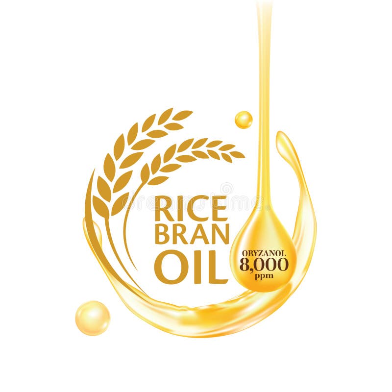 Rice Bran Oil Used for Frying Food Stock Vector - Illustration of ...