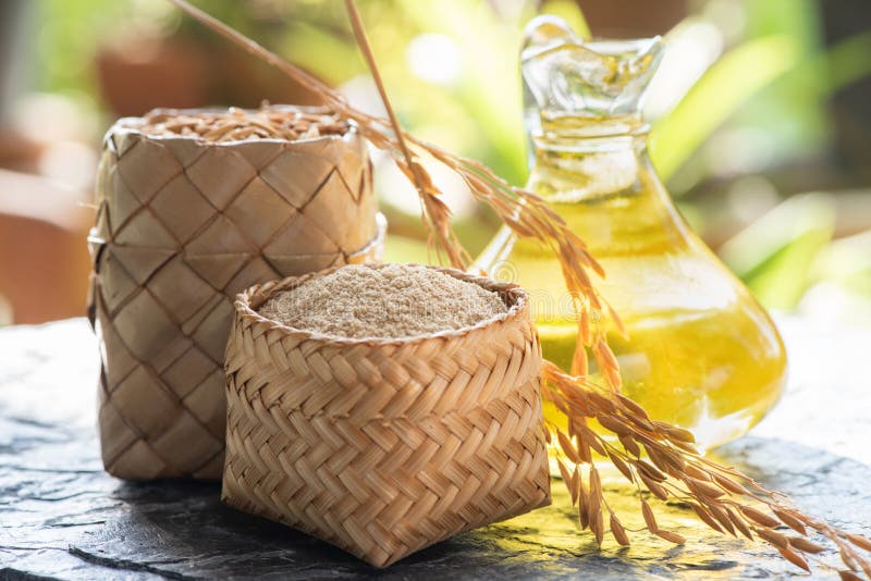 Dry rice stock image. Image of sunny, plants, rice, paddy - 21049145